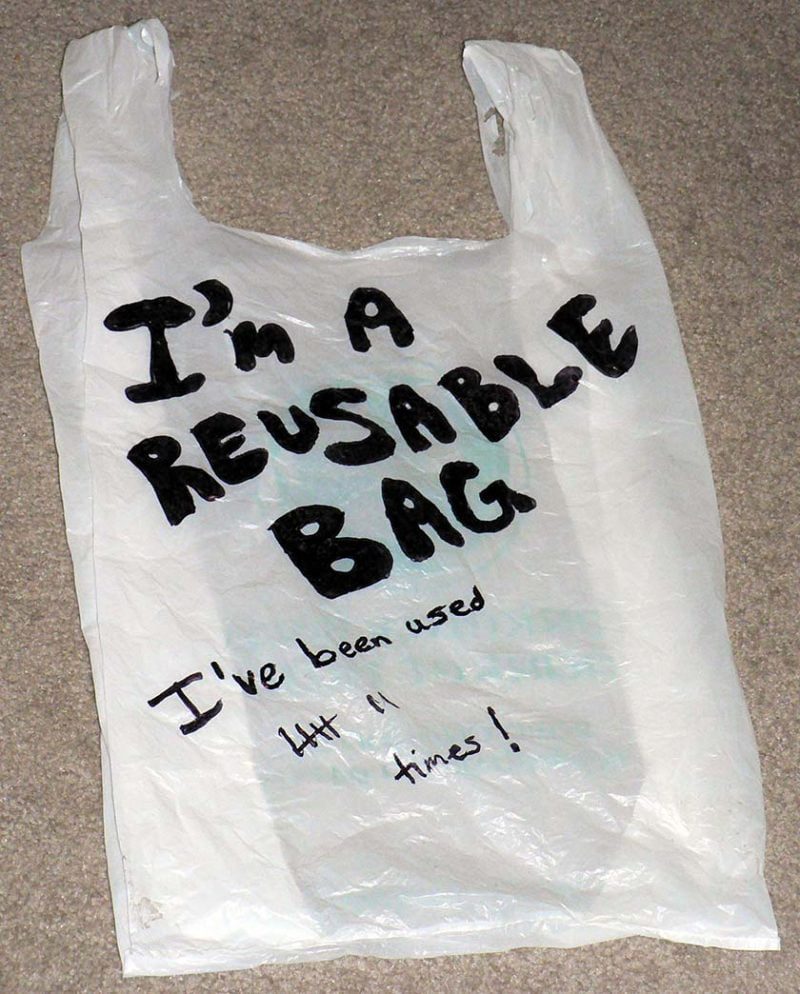 7 Best Plastic Bag Alternatives To The Single Use Ones